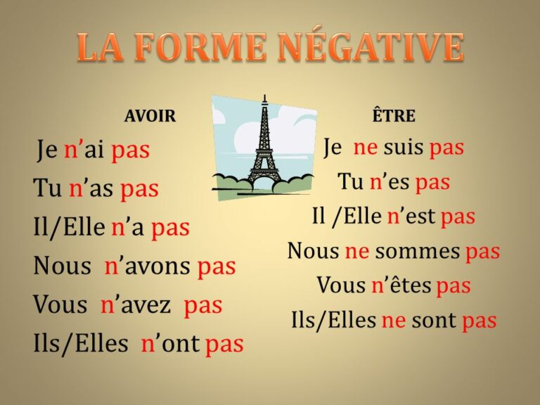 La négation simple – aula de francès